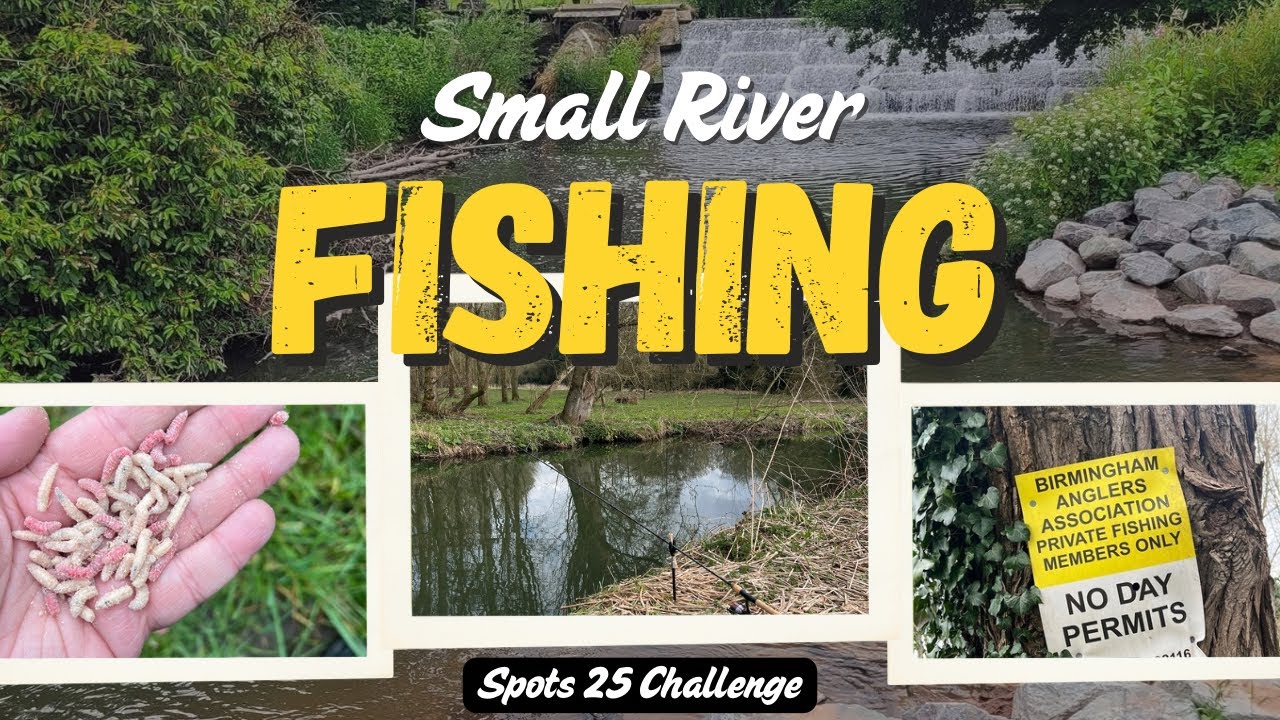 Small River Chub Fishing - BAA River Stour - UK Coarse Fishing - YouTube
