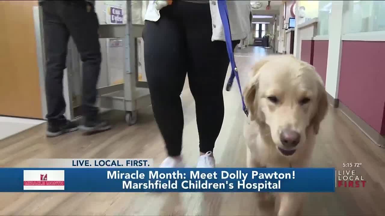 Service #dog 'Dolly Pawton' helping to calm patients at #Marshfield ...