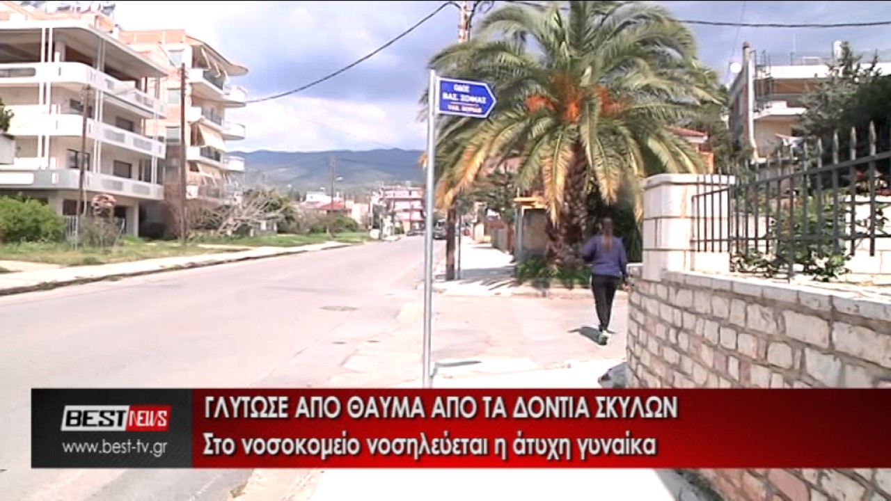 ΓΥΝΑΙΚΑ ΣΚΥΛΙΑ - YouTube