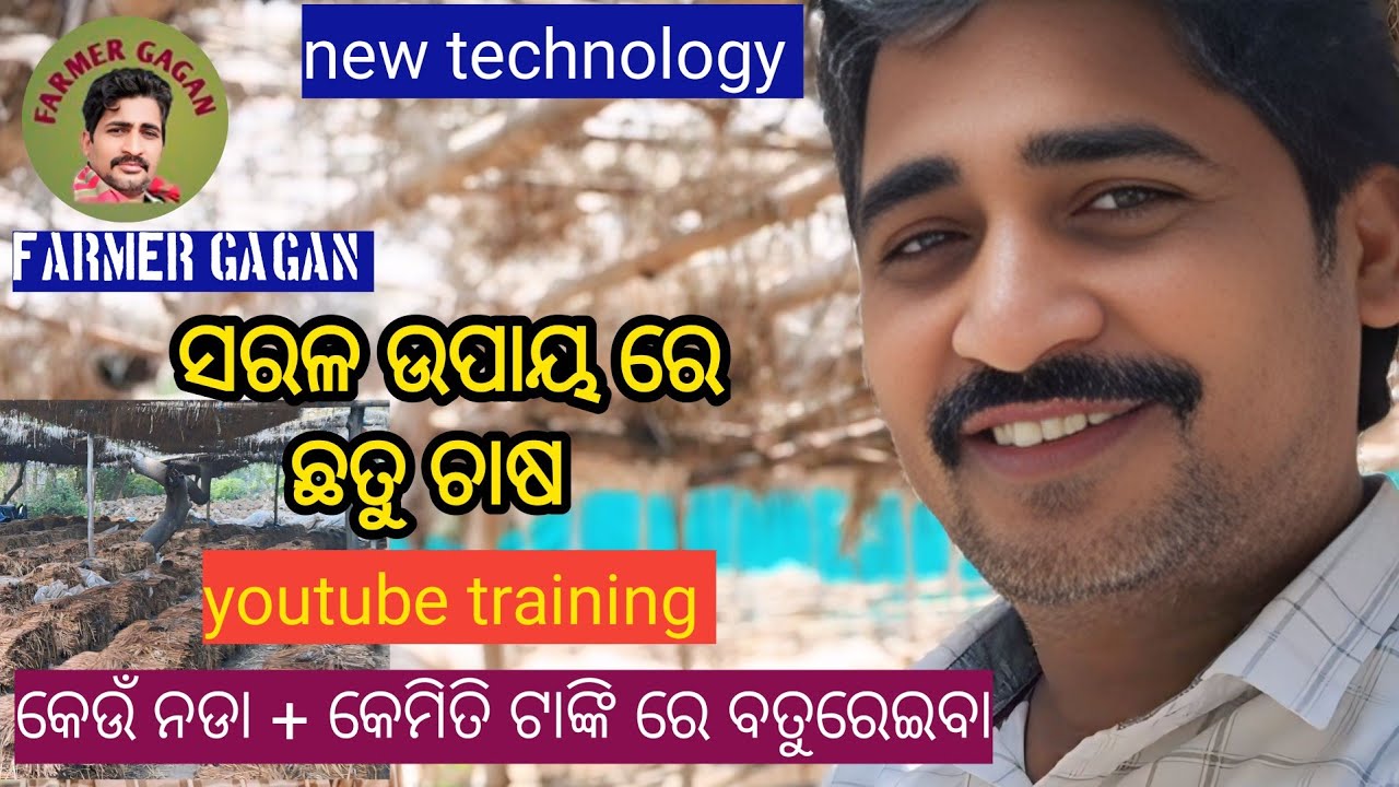 chhatu chasa pranali odisha, first stage mushroom farming. Farmer Gagan ...
