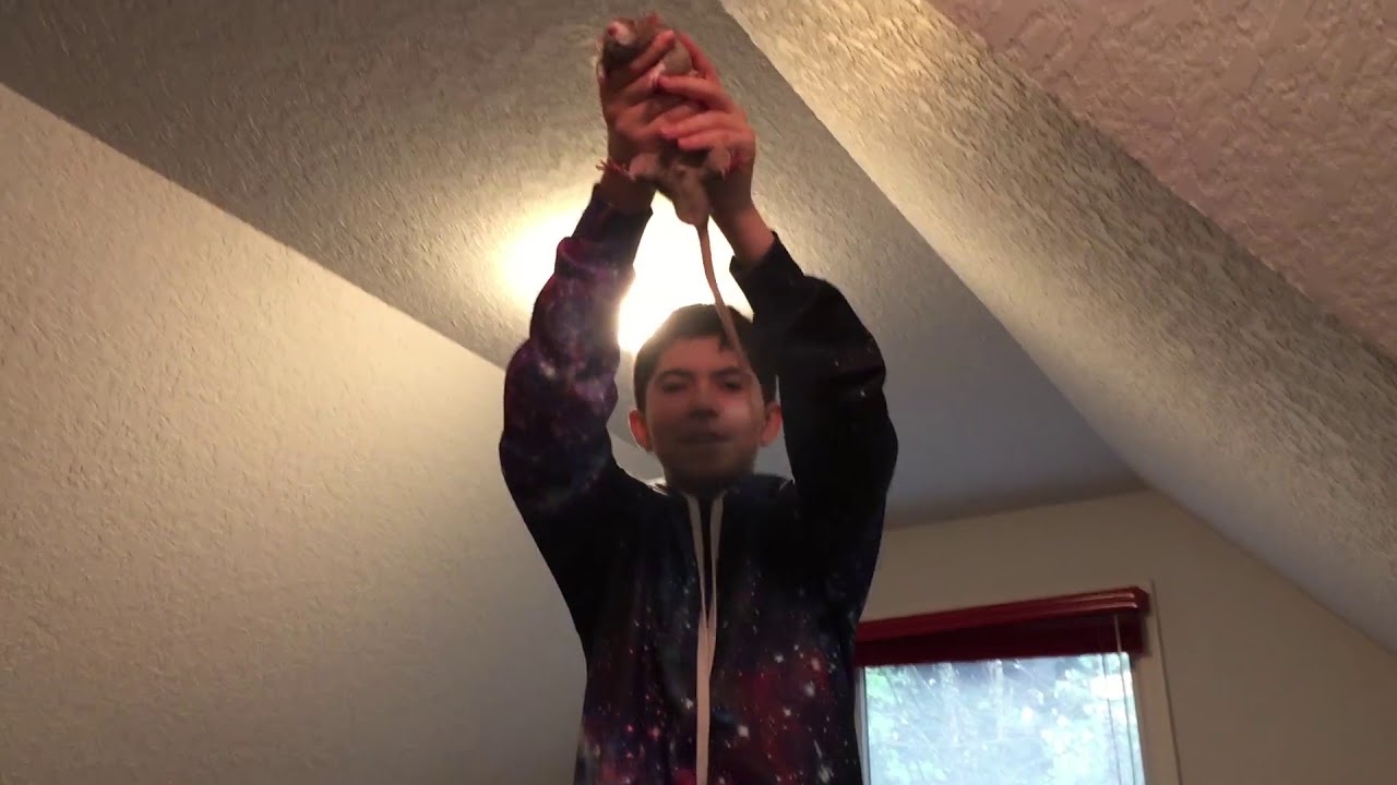 Rat Ritual - YouTube