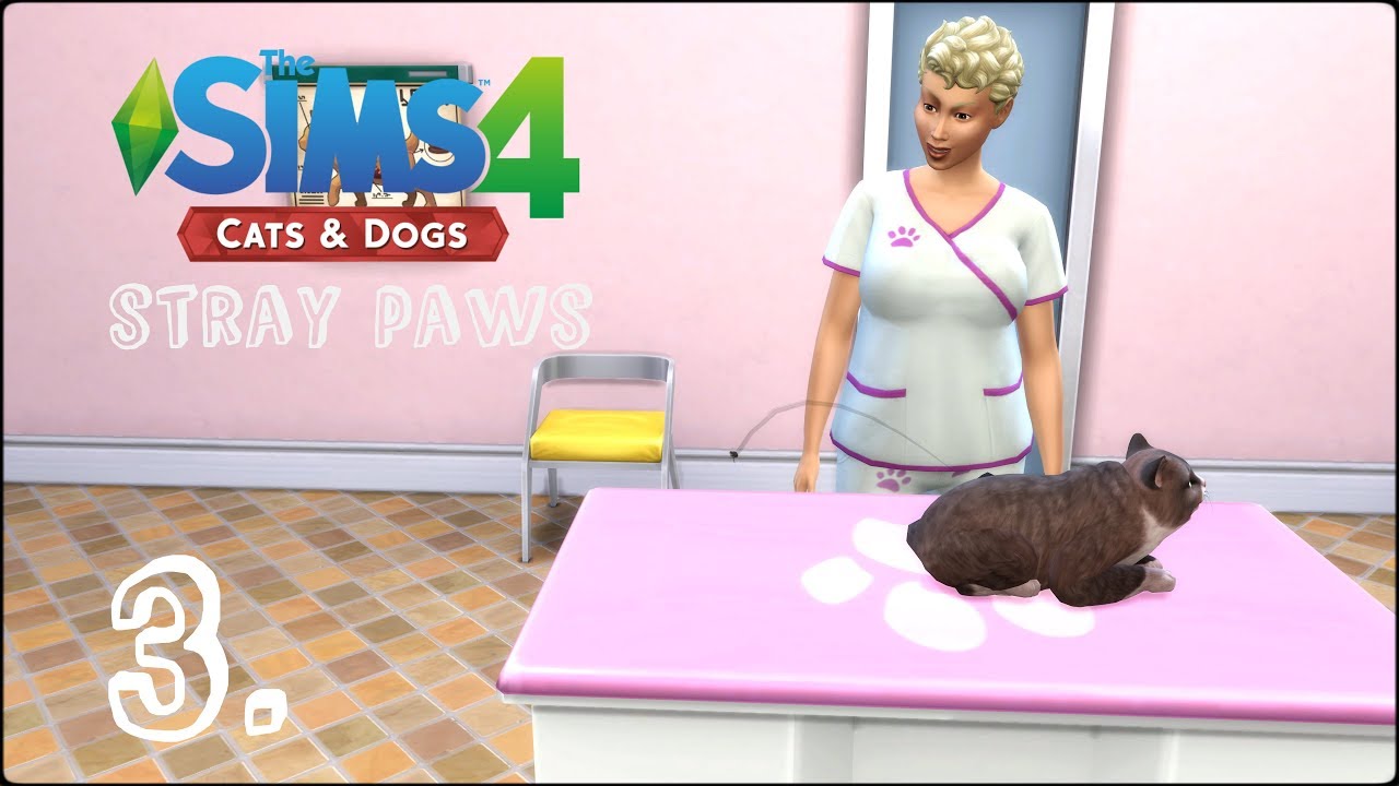The Sims 4: Stray Paws | Visiting the vet #3 - YouTube