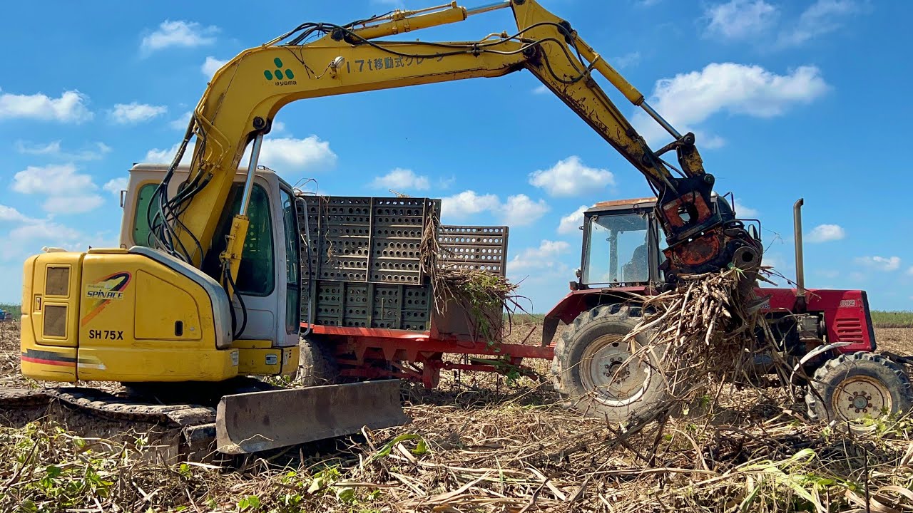 Máy Cày Belarus 892 Tăng Bo Cây Mía, Xe Kube Gấp Rất Nhanh, Thiện Vũ TV ...