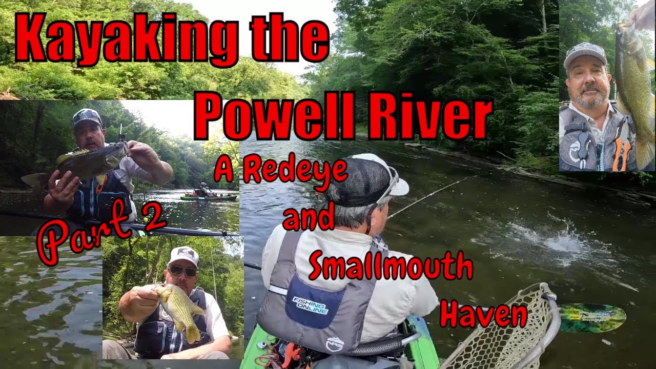 Kayaking the Powell River, A Smallmouth and Redeye haven (Part 2) - YouTube