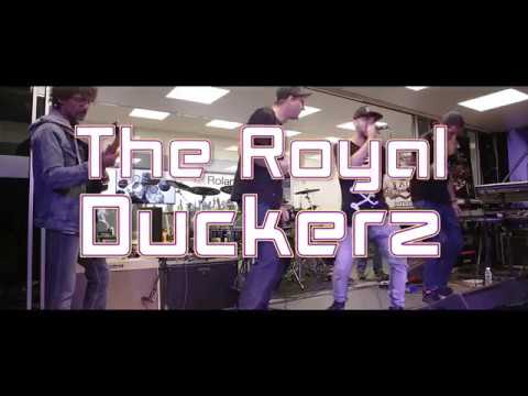 The Royal Duckerz at The Music FestiWall (Kytary.cz) 2017