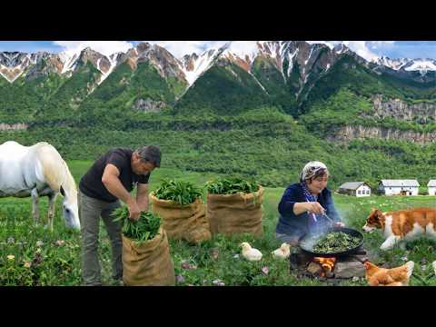 Yabani Yeşillikler Dolması Tarifi | Azerbaycan Dağlarında Huzurlu Yaşam