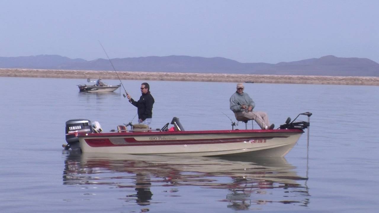 Fish Tech Fishing Tip: How to Catch Crappie at Willard Bay - YouTube