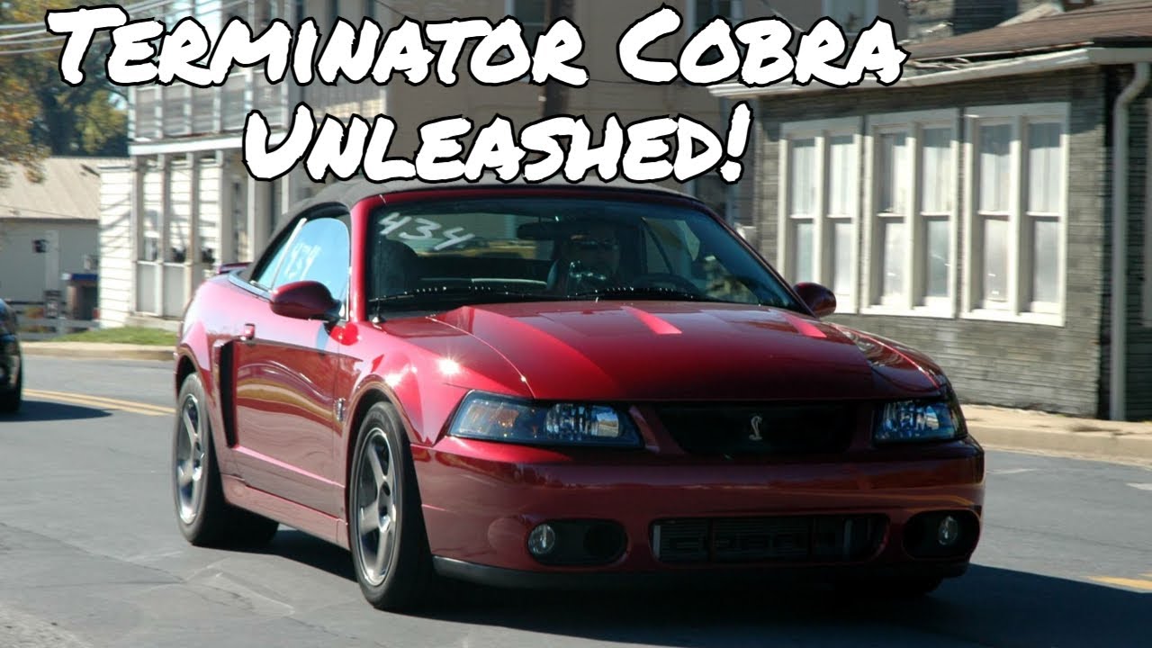 Unleashing the Beast: Exploring the Power of the Redfire 2003 Mustang ...