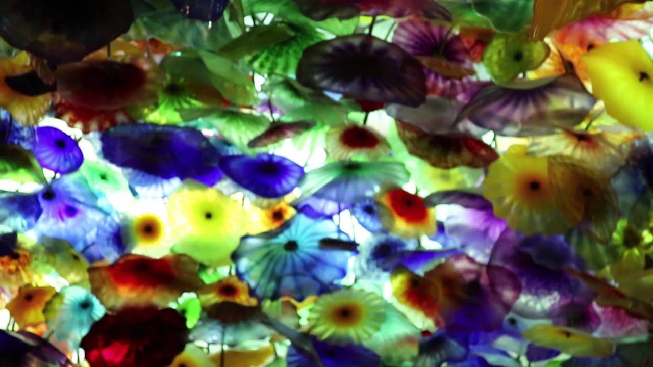 Fiori Di Como ceiling sculpture of hand-blown glass blossoms by Dale ...