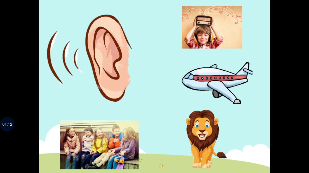 Clase virtual: Sentido de la audición / Nivel inicial - YouTube
