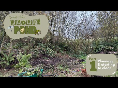 Wildlife Pond Project - Part 1: Planning & starting to clear - YouTube