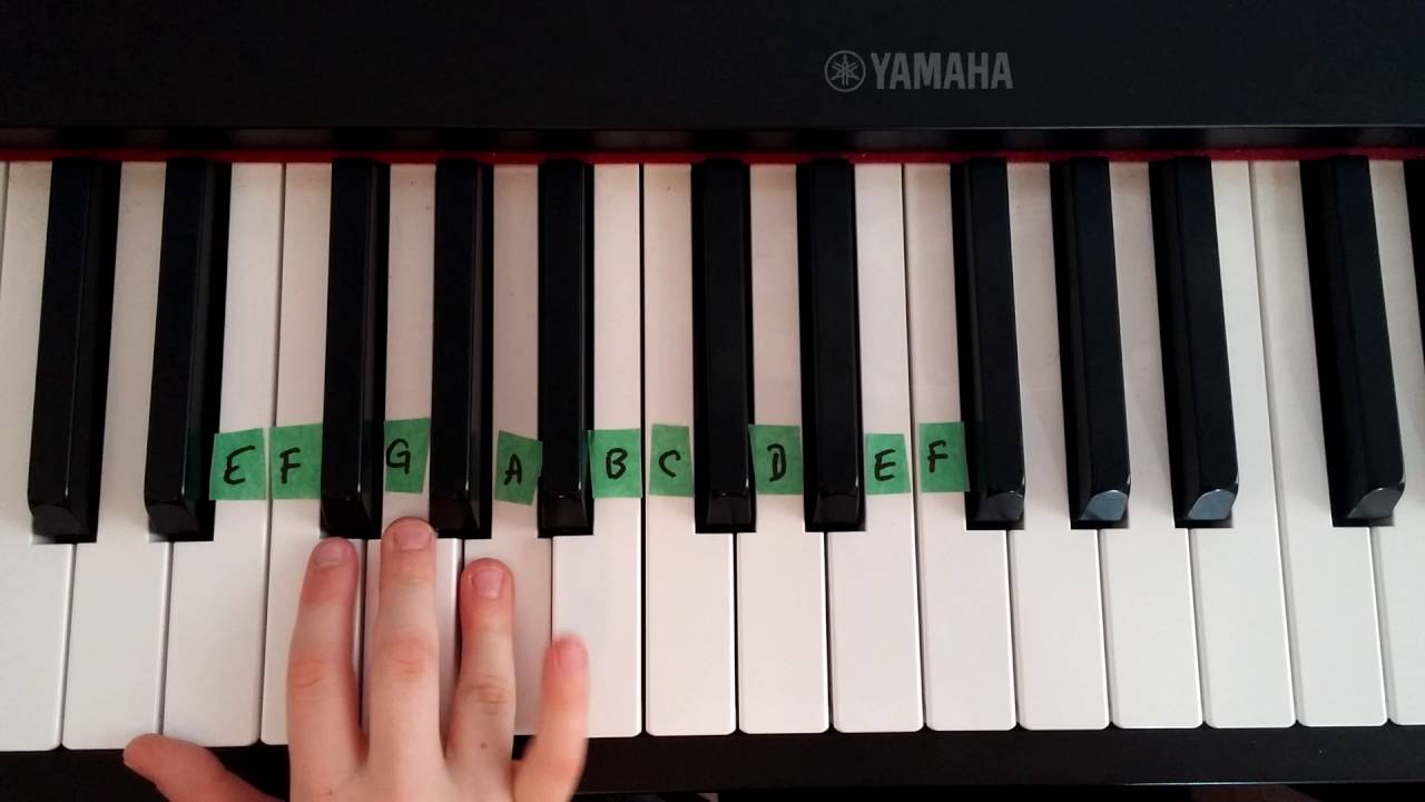 Scale EFGABCDEF Cc - YouTube