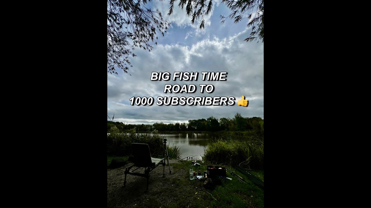 BIG FISH TIME ROAD TO 1000 SUBSCRIBERS 🤞🏻 - YouTube