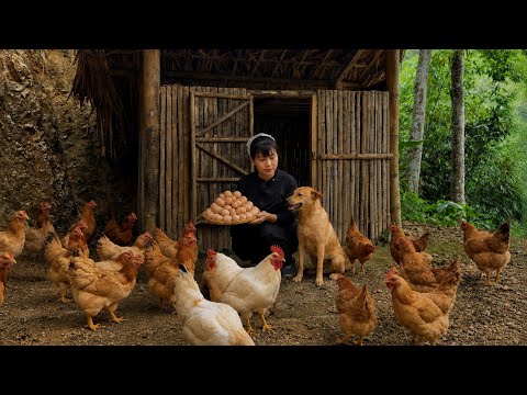 A basket full of chicken eggs and a trip into the forest to find early-season bamboo shoots.