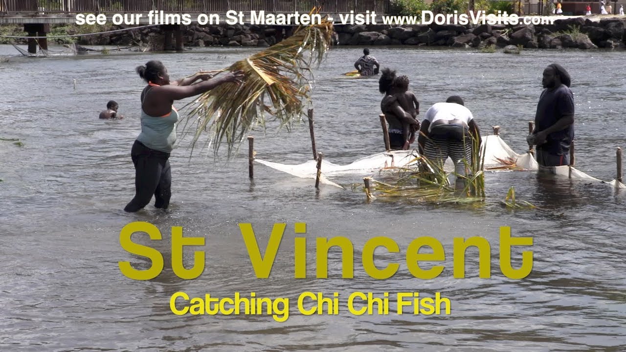 St Vincent, Grenadine Islands. Chi Chi (Tri Tri) Fishing - YouTube