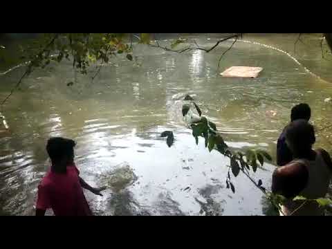 আদনানের নানার বাড়িতে পুকুরে মাছ ধরার ভিডিও।(1)
