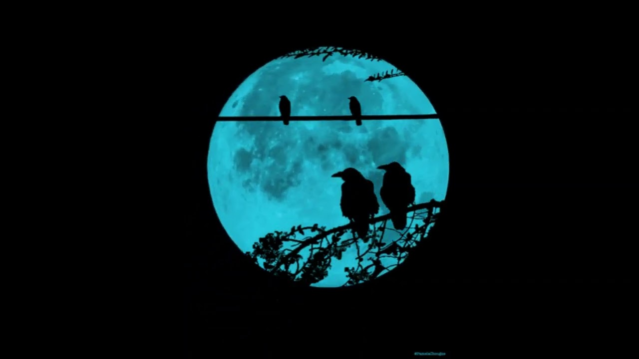 Blue Moon - Beck (Slowed + Reverb) - YouTube