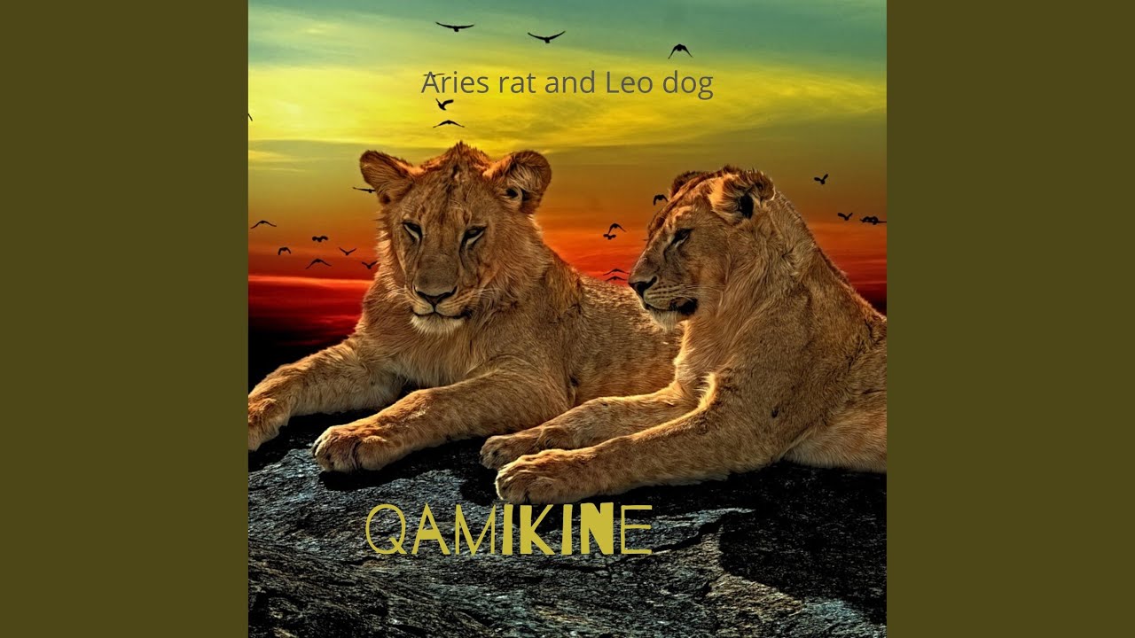 Aries Rat and Leo Dog - YouTube