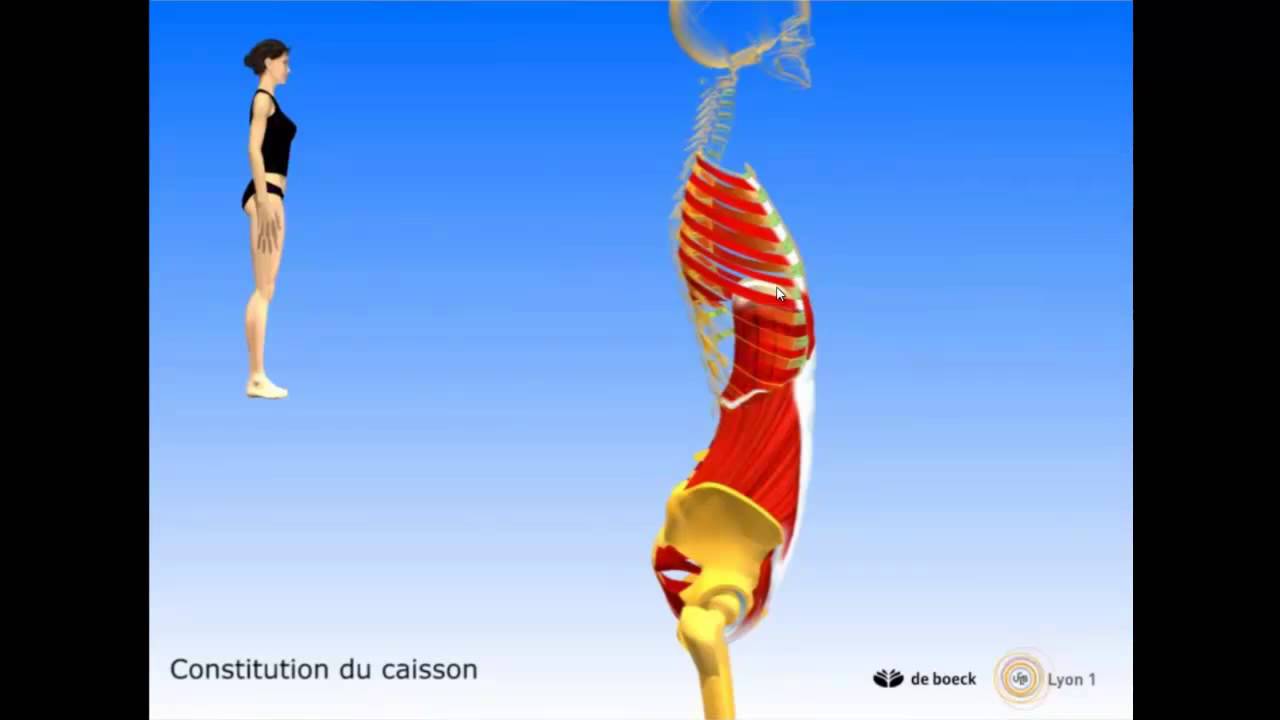 Vidéo sonorisée Le tronc caisson - YouTube