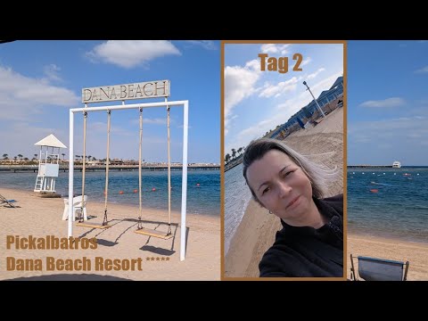Tag 2 - Umzug, Strand & Foodporn - Ägypten - Pickalbatros Dana Beach Resort