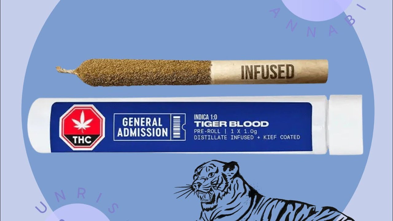 GENERAL ADMISSIONS: TIGER BLOOD INFUSED PRE-ROLL REVIEW - YouTube