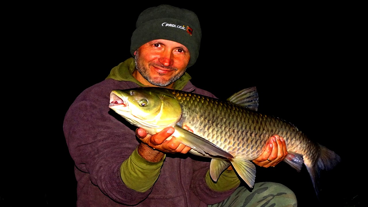 Carp Dream Life # Carp Fishing - YouTube