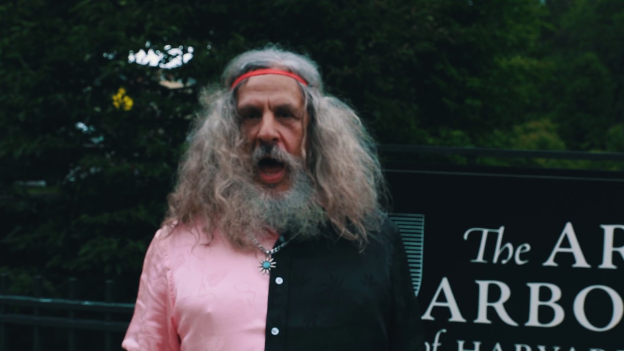 Dave Arvedon a walk in the park - YouTube