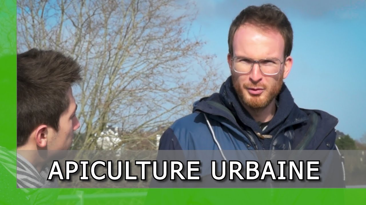 L'APICULTURE URBAINE - DEMAIN #7 (UIBIE) - YouTube
