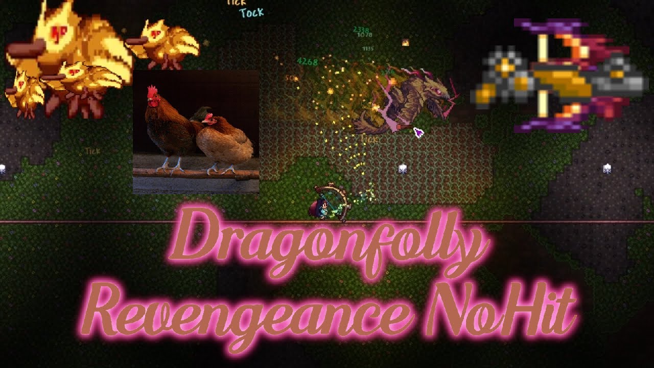 Calamity - Dragonfolly Revengeance NoHit as Ranger - YouTube