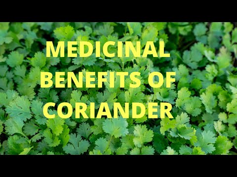 Health Benefits of Coriander. - YouTube