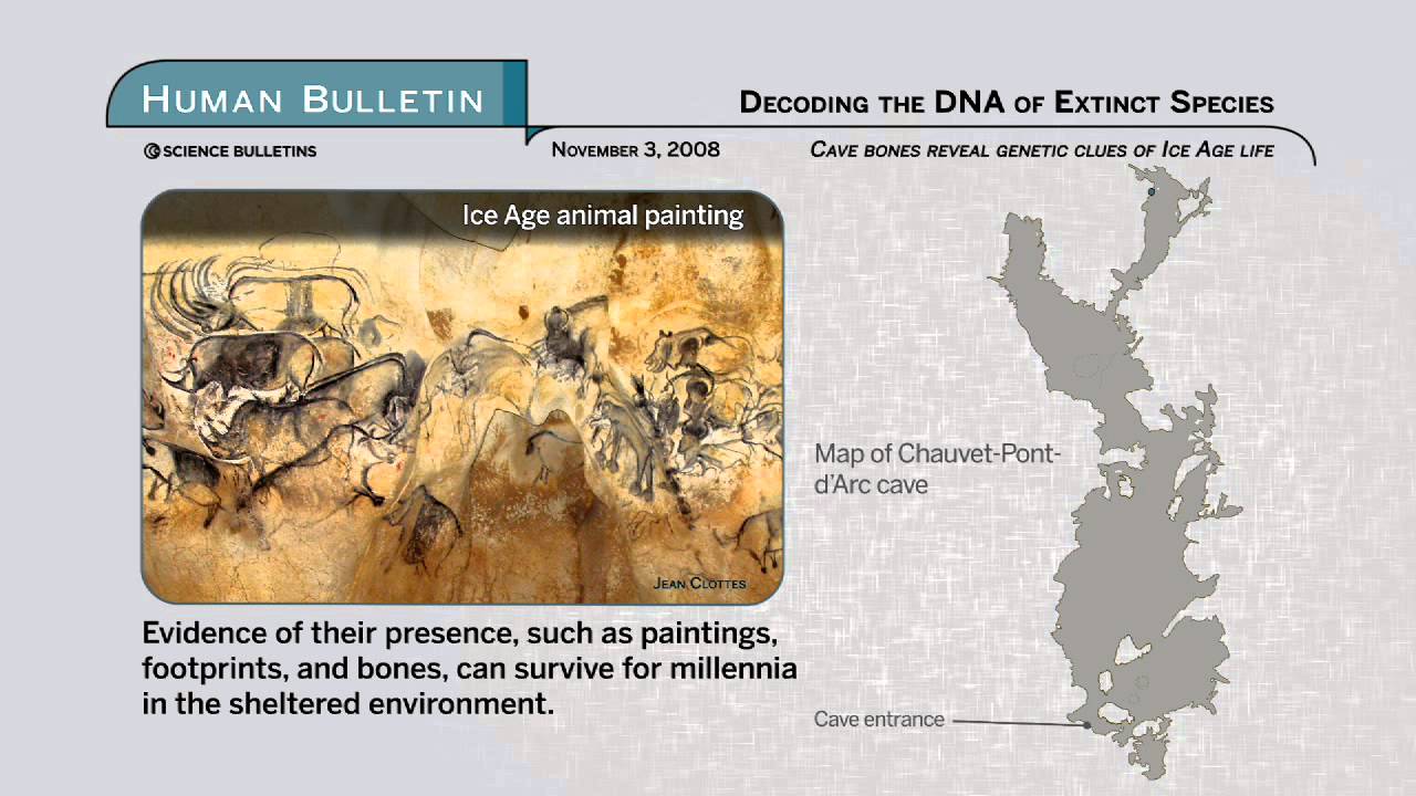Science Bulletins: Decoding the DNA of Extinct Species - YouTube