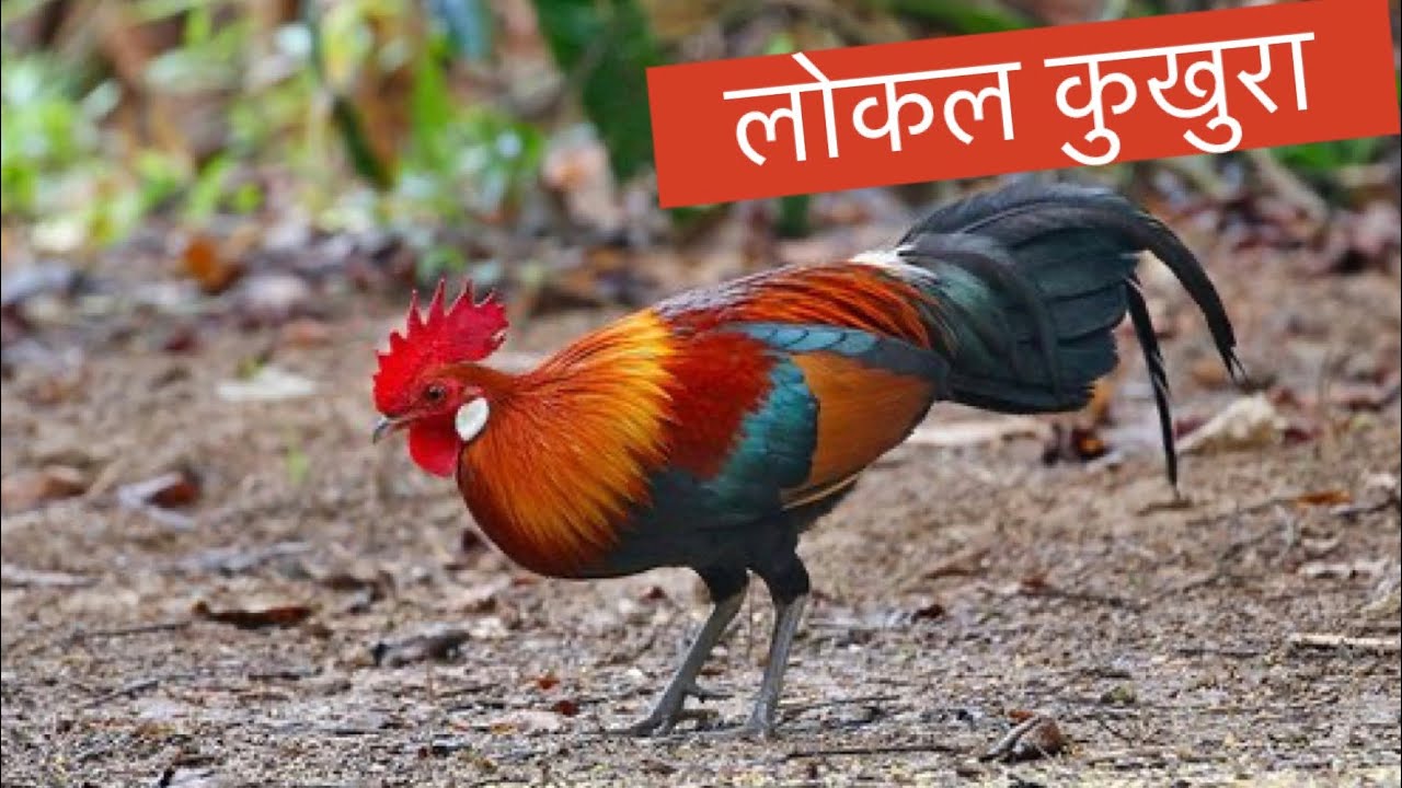 #Cheliyan_Agriculture_Farm - YouTube