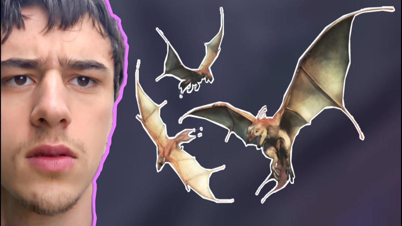 MHW - TUER 5 RAPHINOS - YouTube