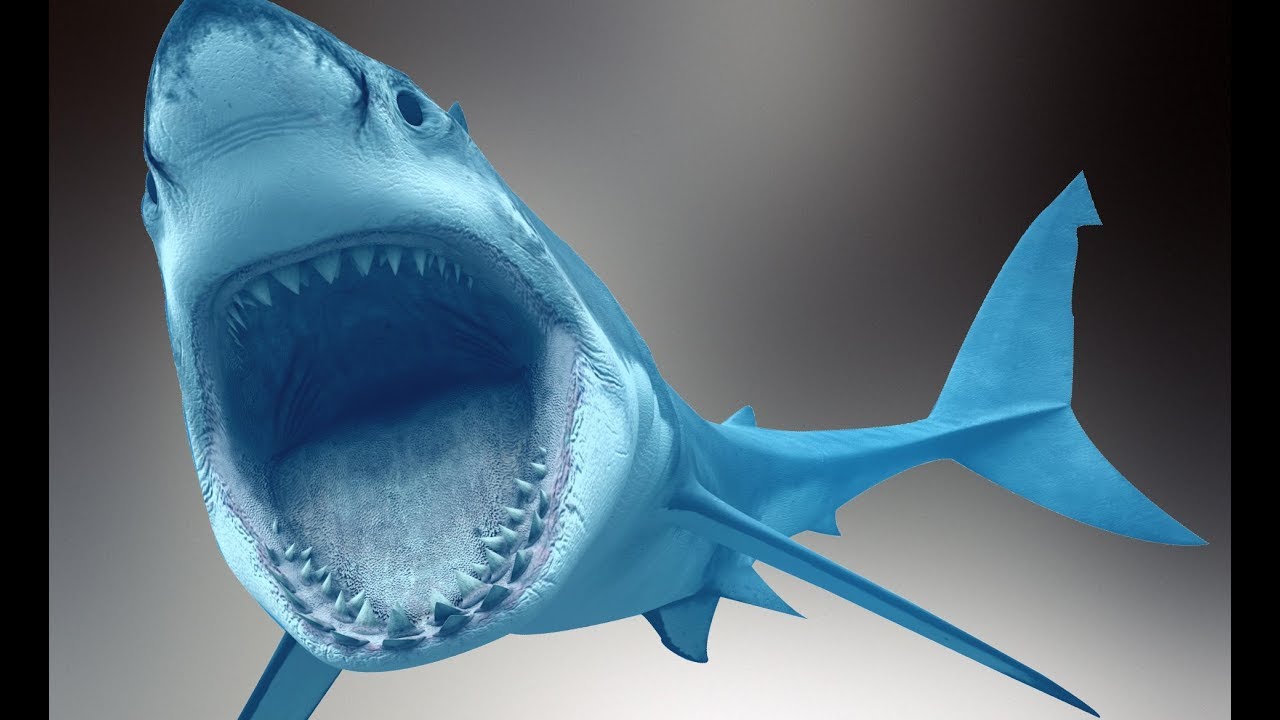 Paranormal Shark-tivity | GMOD (Sandbox) - YouTube
