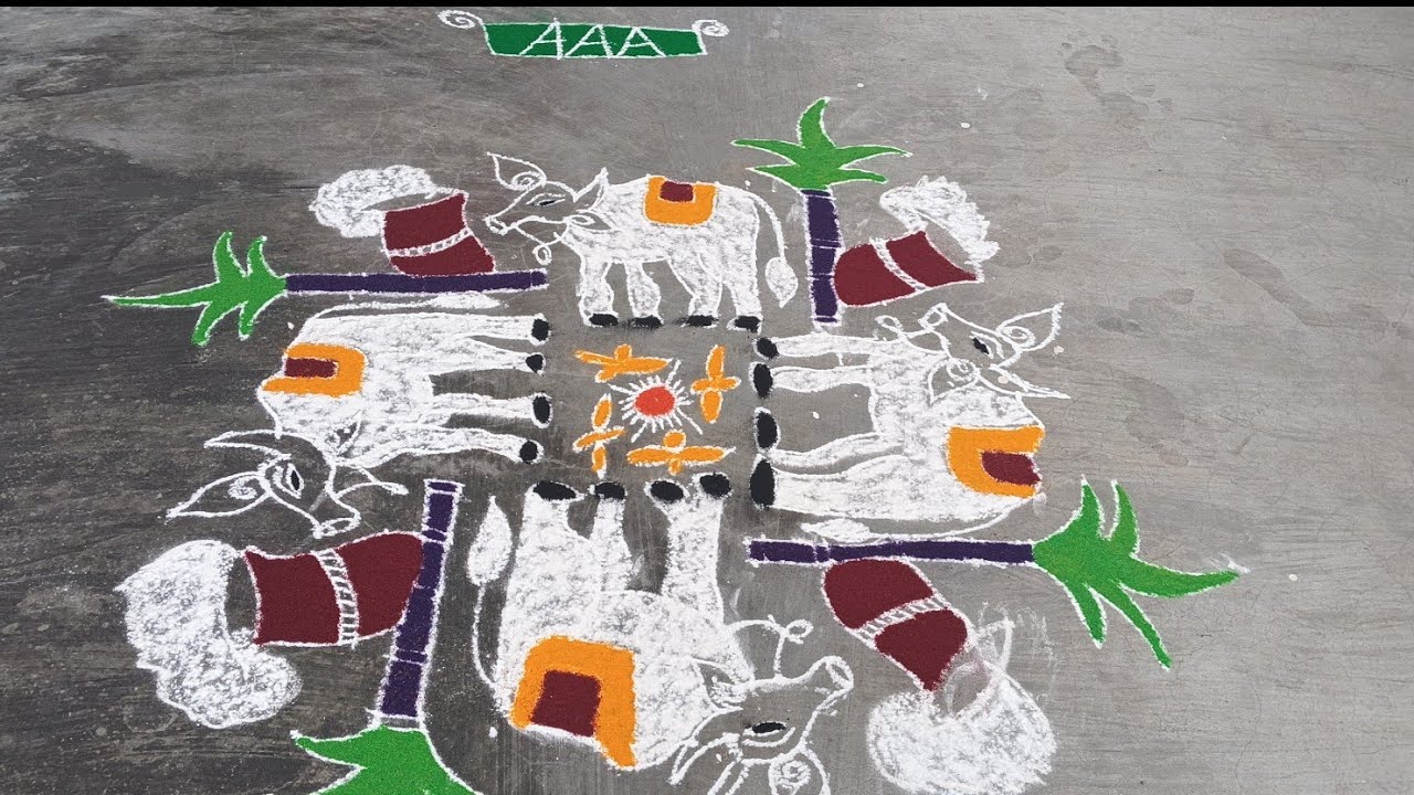 AAA 13*5*5 dots cow rangoli || Pongal special rangoli || sankranthi ...