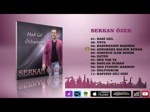 Serkan özer  -   Ankarada Kaldık Bekar