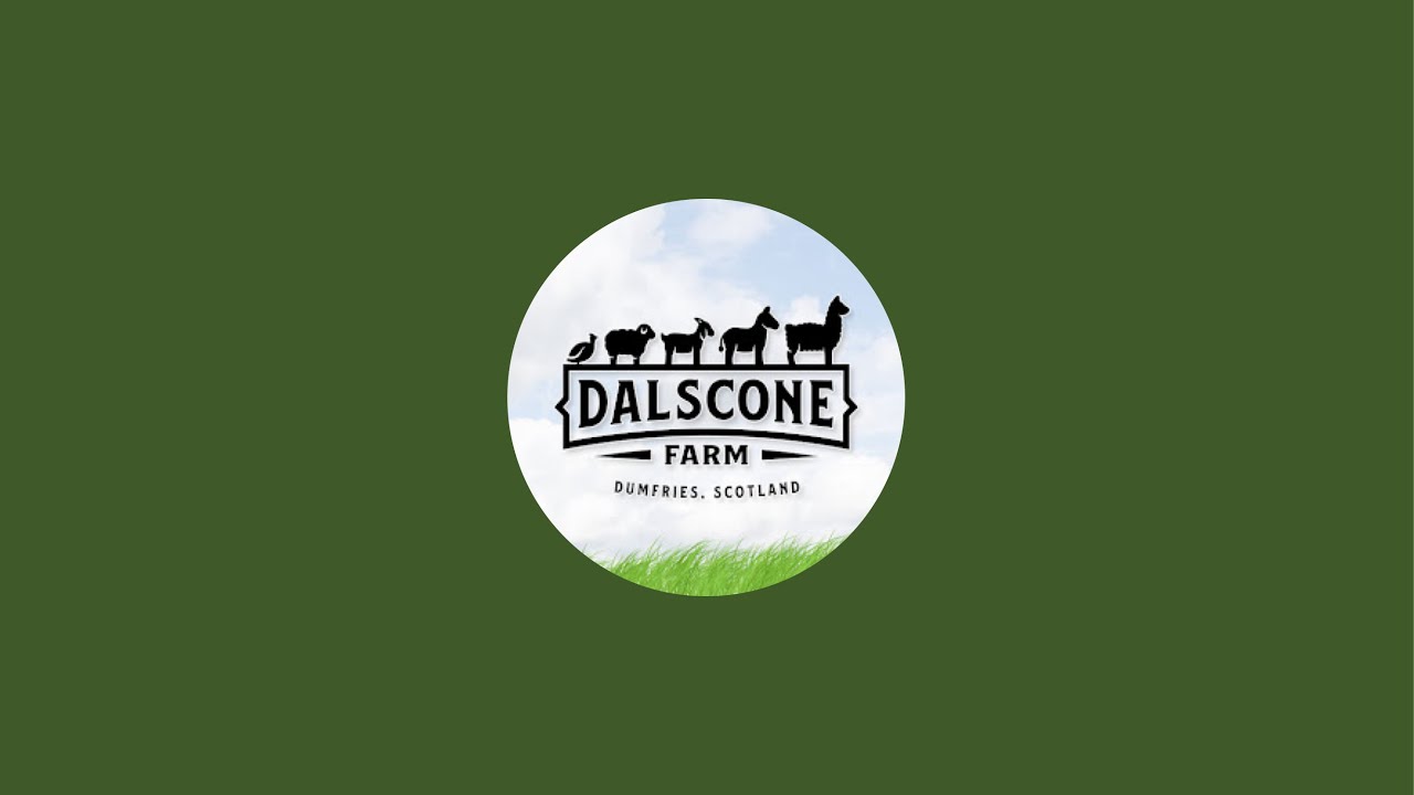 Dalscone Farm is live in the packing centre - YouTube