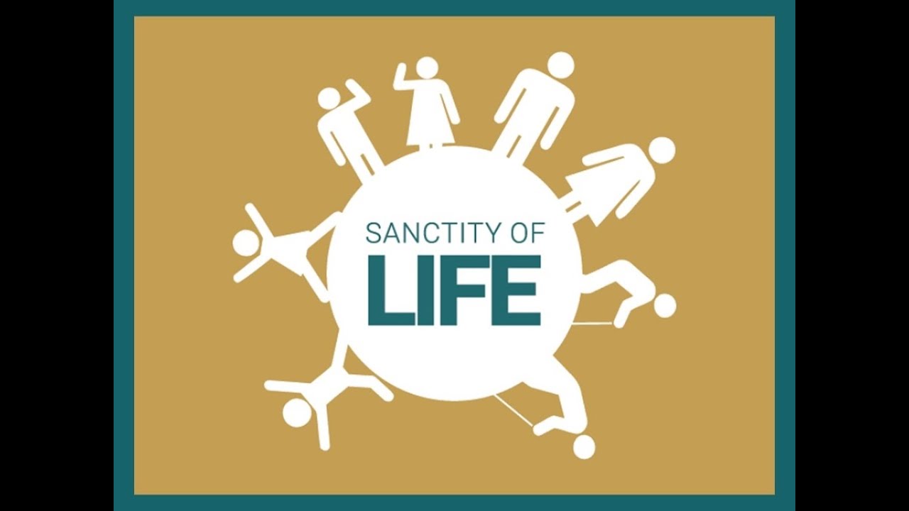 the-sanctity-of-human-life-conceived-by-the-handiwork-of-god-job-10-8
