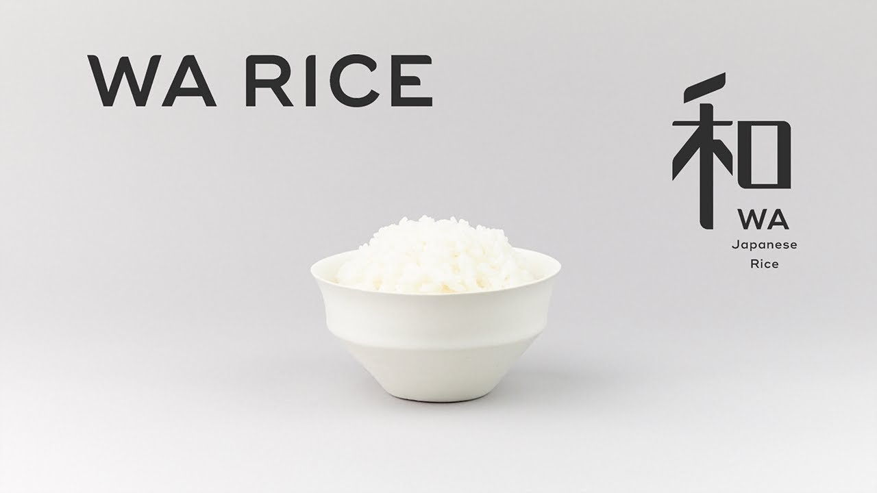 【WA RICE】JAPANESE CUISINE ｜How to cook rice - YouTube
