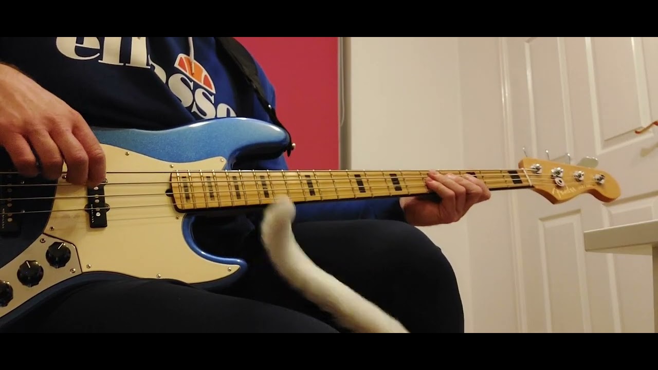 Robbie Williams - Lost bass playalong#robbiewilliams - YouTube
