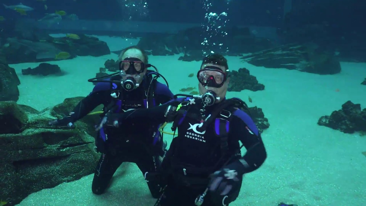 Scott Nicot & Robert Stull diving the Georgia Aquarium - YouTube