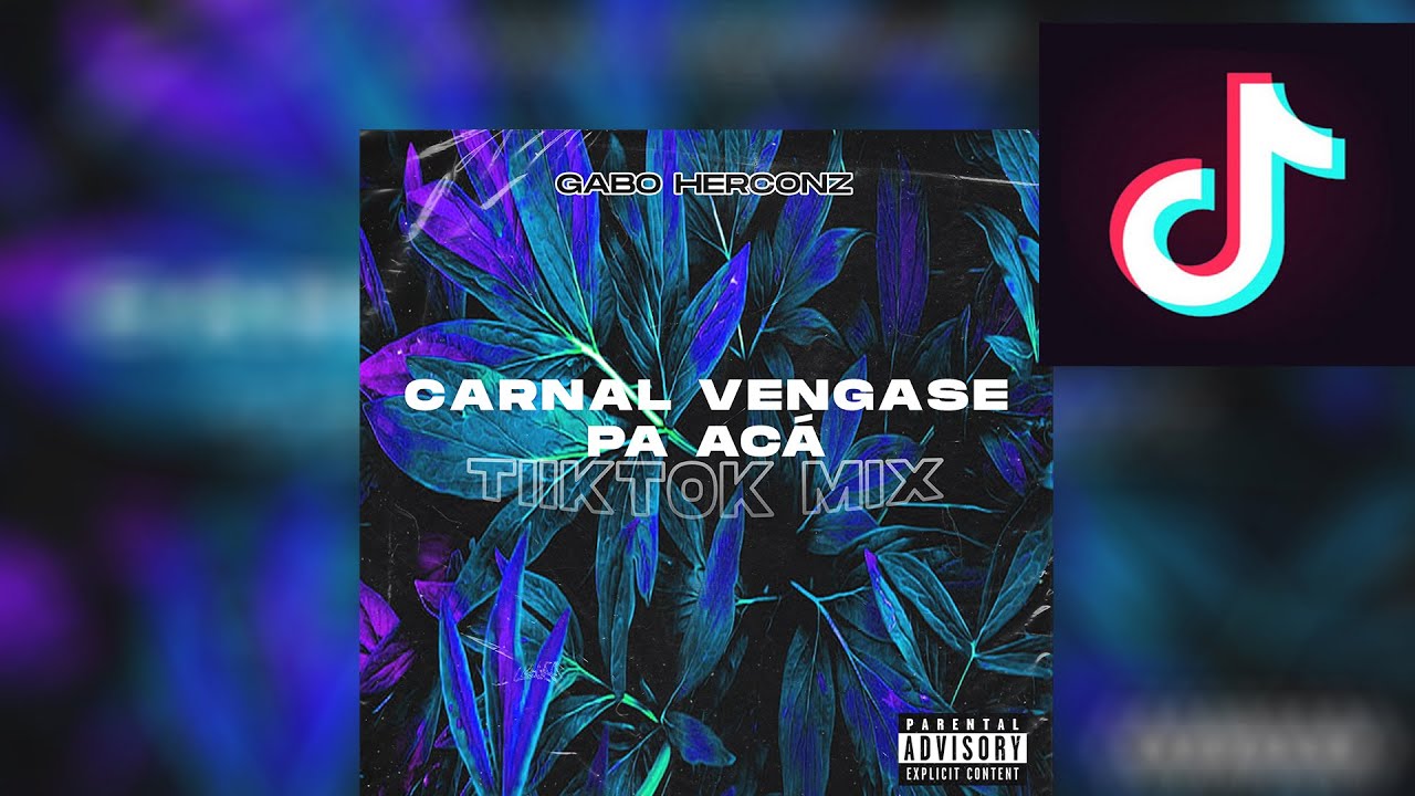 CA CARNAL VENGASE PA ACA REMIX - TIKTOK SONG - REGGAETON - PERREO MIX ...
