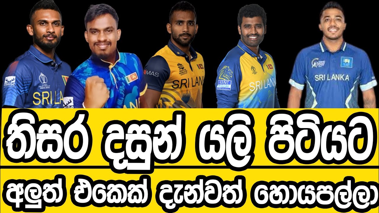 තිසර දසුන් යලි පිටියට Thisara ,Dasun Going To make a comeback - YouTube