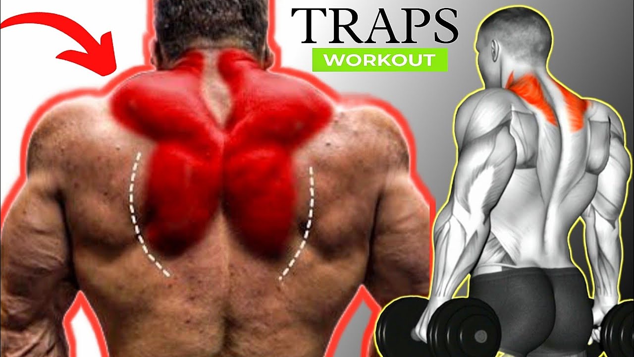Dumbbell traps workout to build big traps | trap workout - YouTube