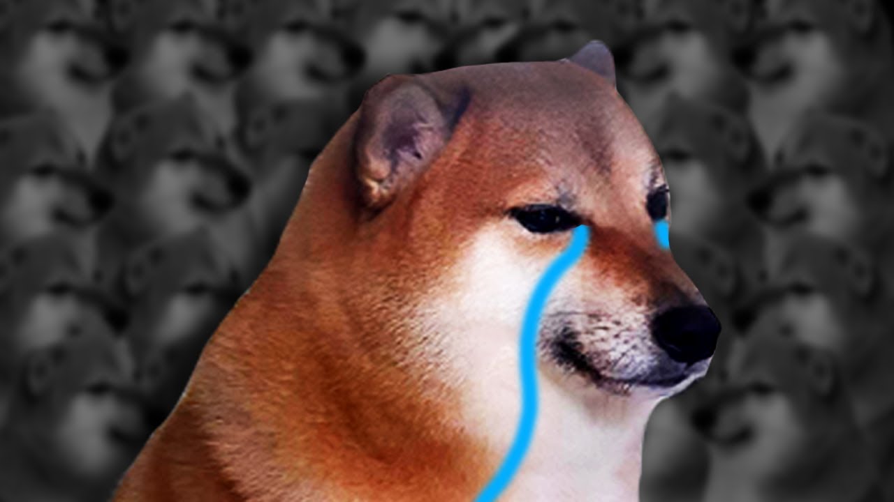 CHEEMS SAD | Reacción a ABRO HILO - YouTube