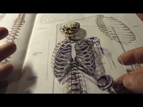 Plexi Drawing Technique - YouTube