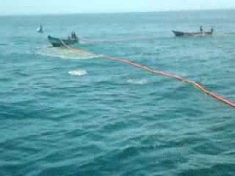 Fishing from Nagapattinam using Surukku valai(Fishing Net) - YouTube
