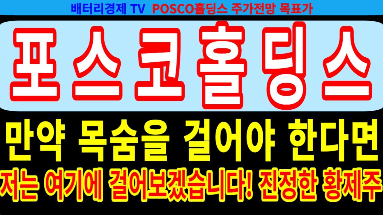 포스코홀딩스 주가전망 만약 목숨을 걸어야 한다면 저는 여기에 걸어보겠습니다 진정한 황제주 포스코홀딩스목표가 배터리경제
