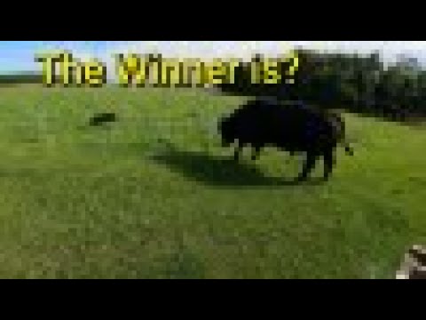Making it Work! - YouTube
