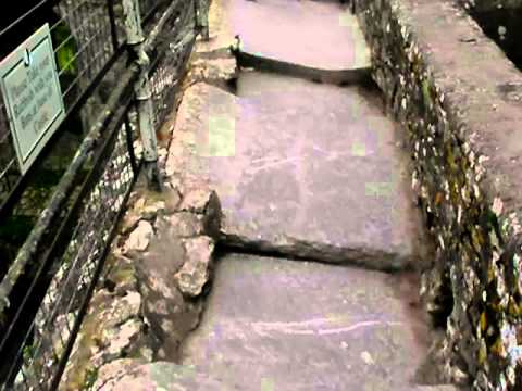 Day 5 Blarney Castle Too Many Steps - YouTube